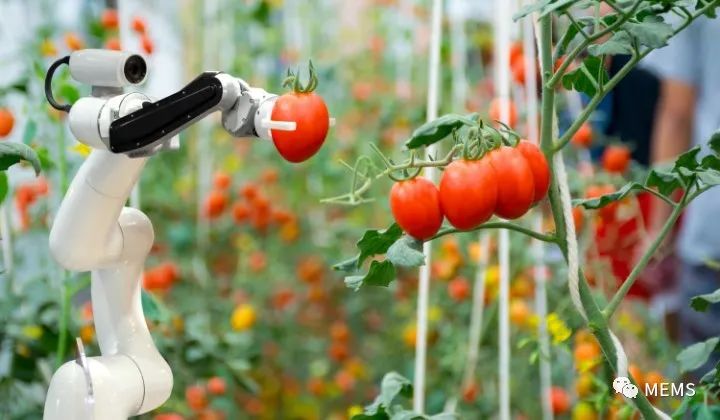 惯性传感器厂商mCube更名为Movella，挖掘运动数据价值-电子工程专辑