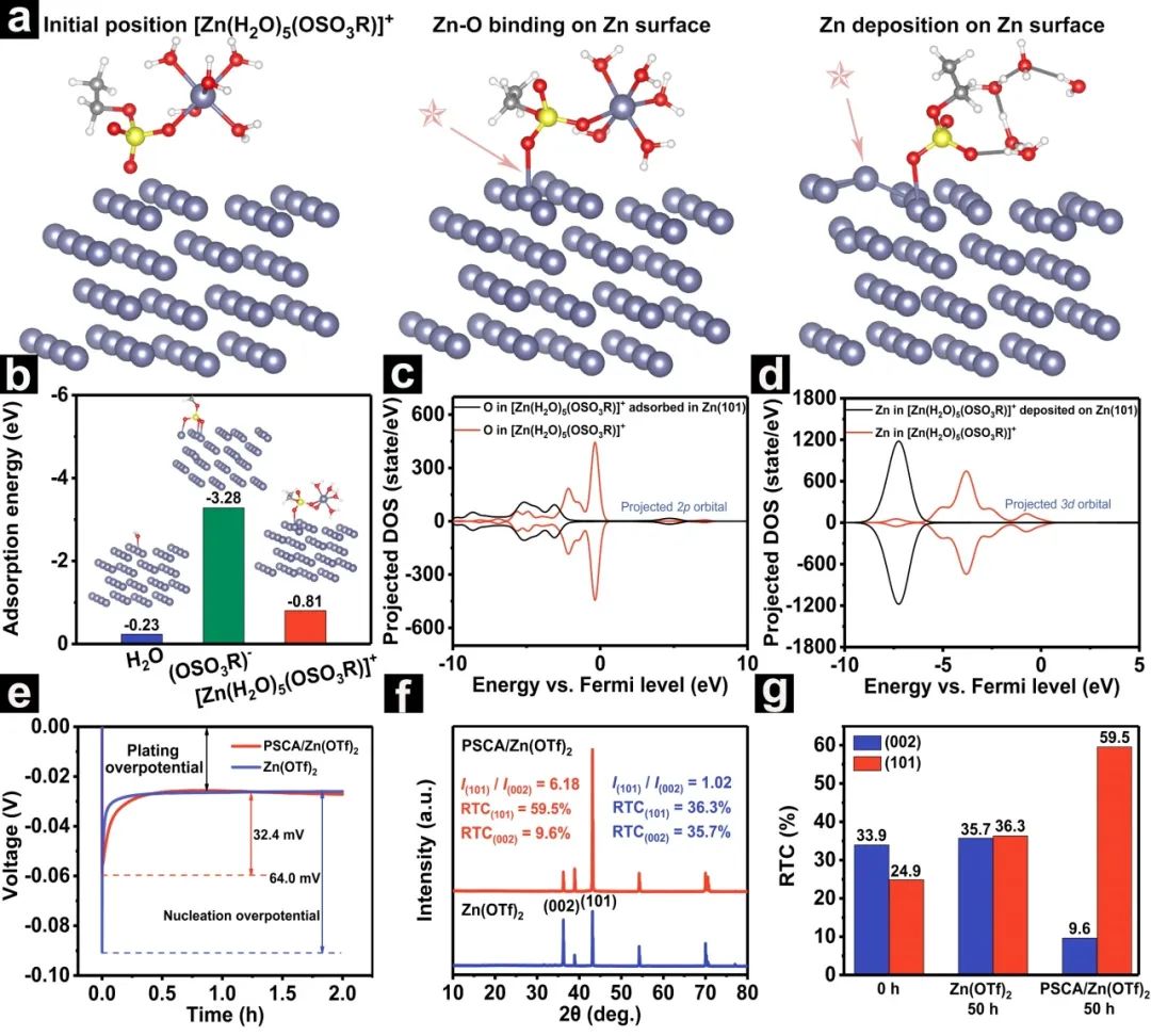 AFM：具有溶剂化结构的界面特异性吸附的亲锌阴离子水凝胶电解质实现持久的锌离子混合超级电容器-电子工程专辑