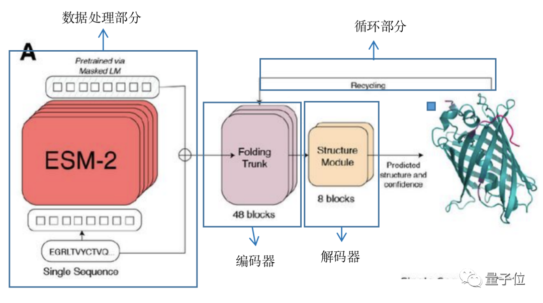 AlphaFold对手来了：Meta发布6亿“暗物质”蛋白预测结果，仅用2周完成-电子工程专辑