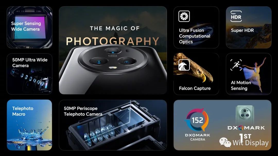 BOE、维信诺、天马供屏，荣耀Magie5系列发布，6608元起-电子工程专辑