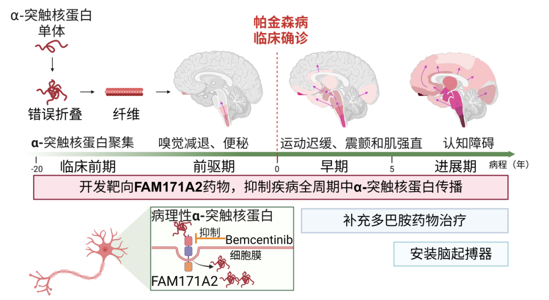 2025年中国/世界十大科技进展重磅揭晓！-电子工程专辑