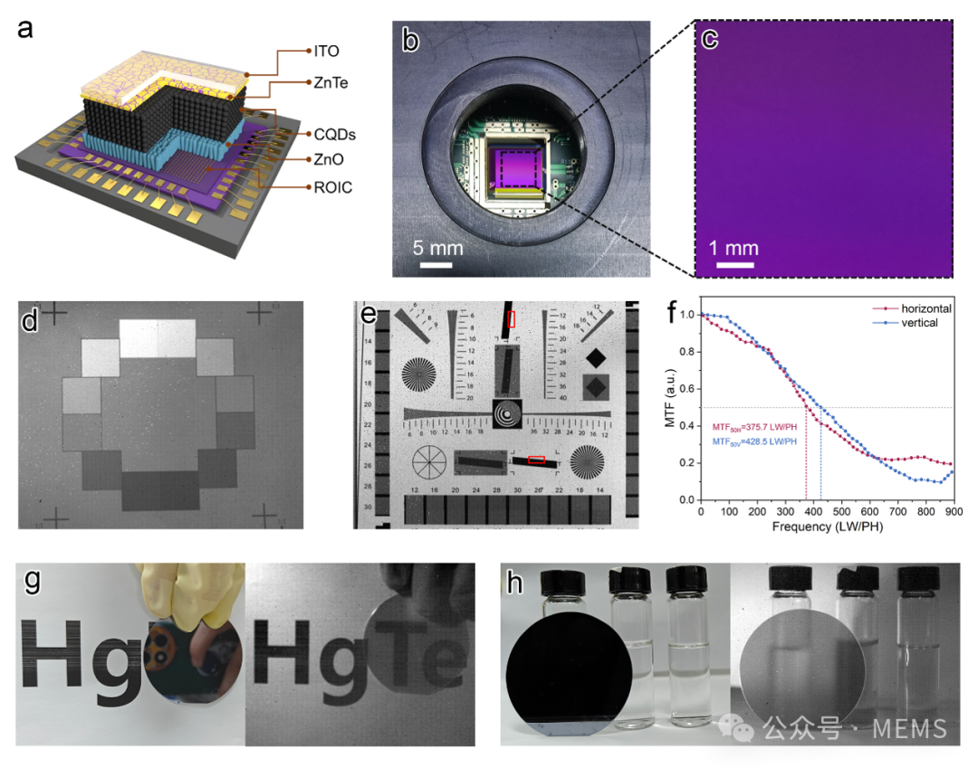 基于双异质结的HgTe量子点焦平面阵列探测器，在短波红外具有高外量子效率-电子工程专辑