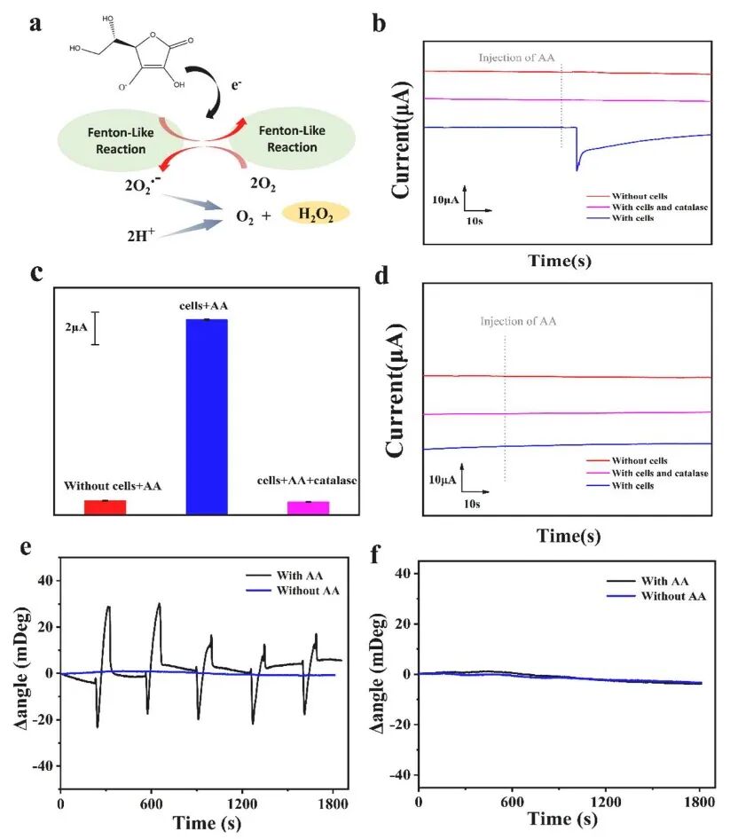 双金属纳米酶EC-SPR微流控传感平台，实现片上原位监测活细胞H₂O₂水平-电子工程专辑