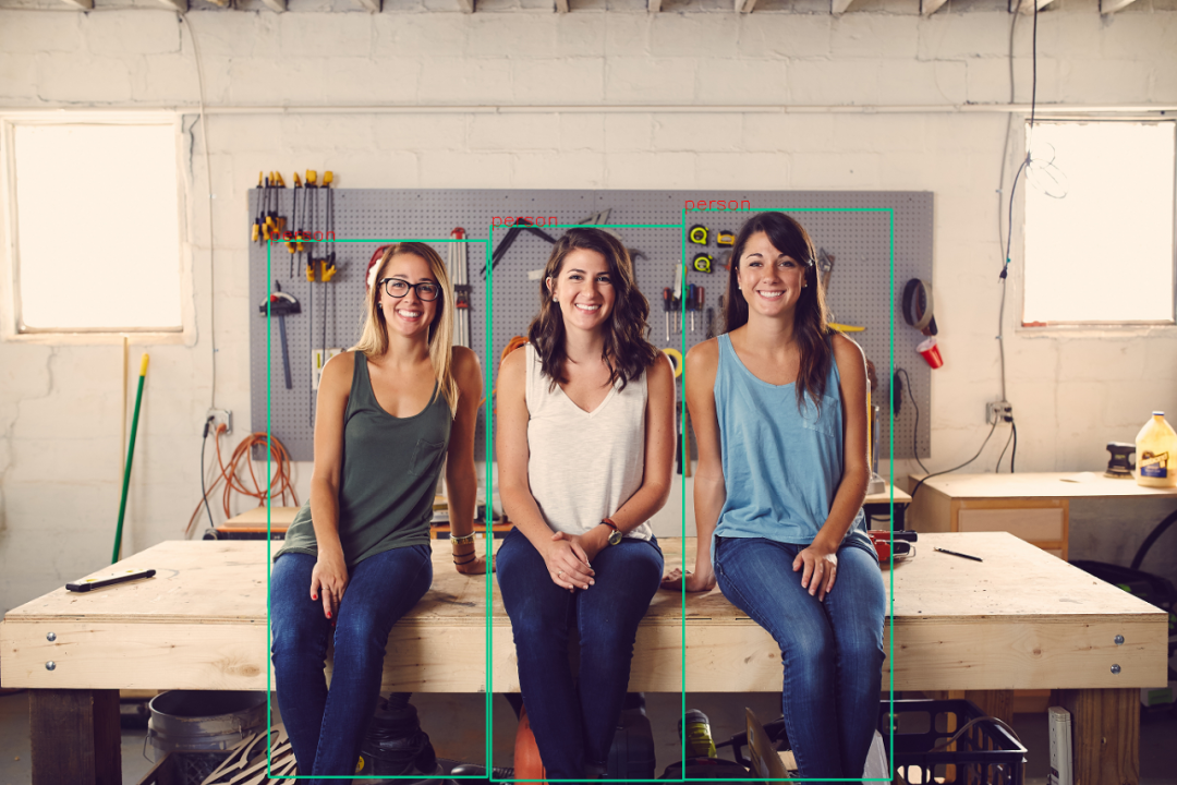 TorchVision对象检测RetinaNet推理演示-电子工程专辑