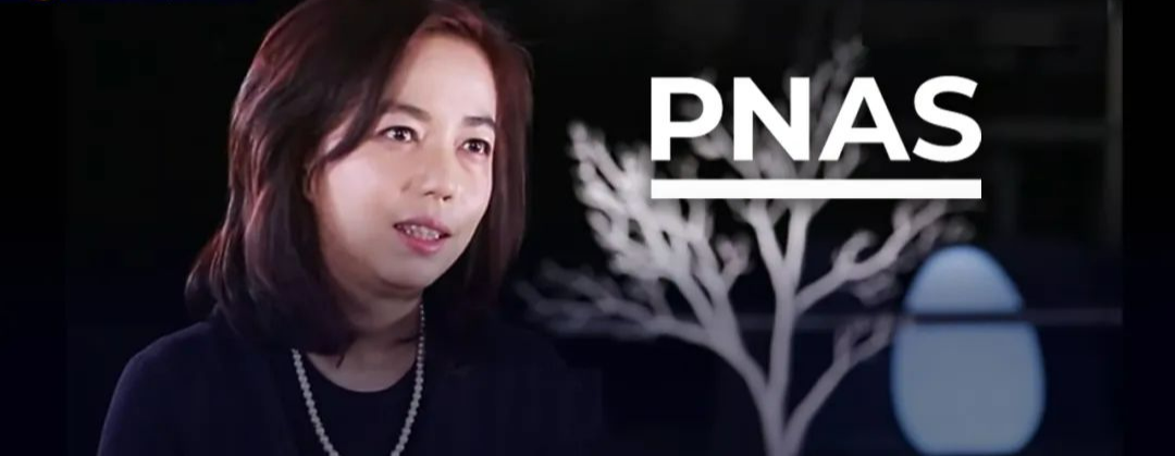 李飞飞新作登PNAS！AI与人类互动23万次，智能水平提高112%-电子工程专辑