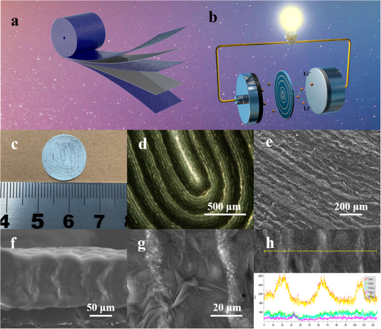上海电力大学徐群杰教授课题组AFM：在固态电解质中构建定向连续界面通道用于优化离子传输-电子工程专辑