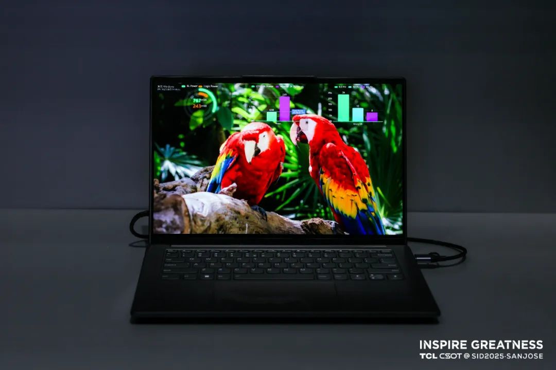 TCL华星携APEX臻图与印刷OLED全家桶亮相SID2025-电子工程专辑