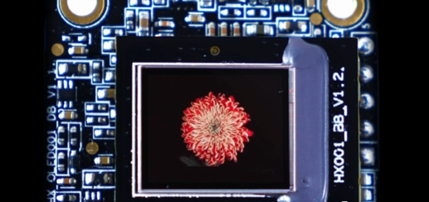 宏禧科技12寸MicroOLED进入量产-电子工程专辑