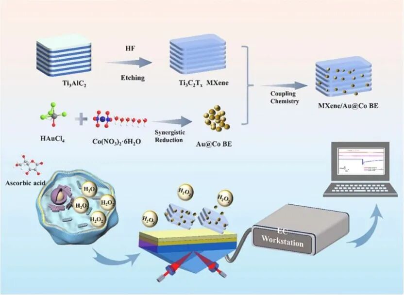 双金属纳米酶EC-SPR微流控传感平台，实现片上原位监测活细胞H₂O₂水平-电子工程专辑