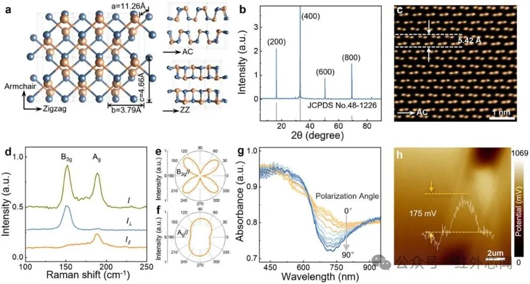 片上集成GeSe偏振敏感光电探测器，覆盖可见光至近红外-电子工程专辑