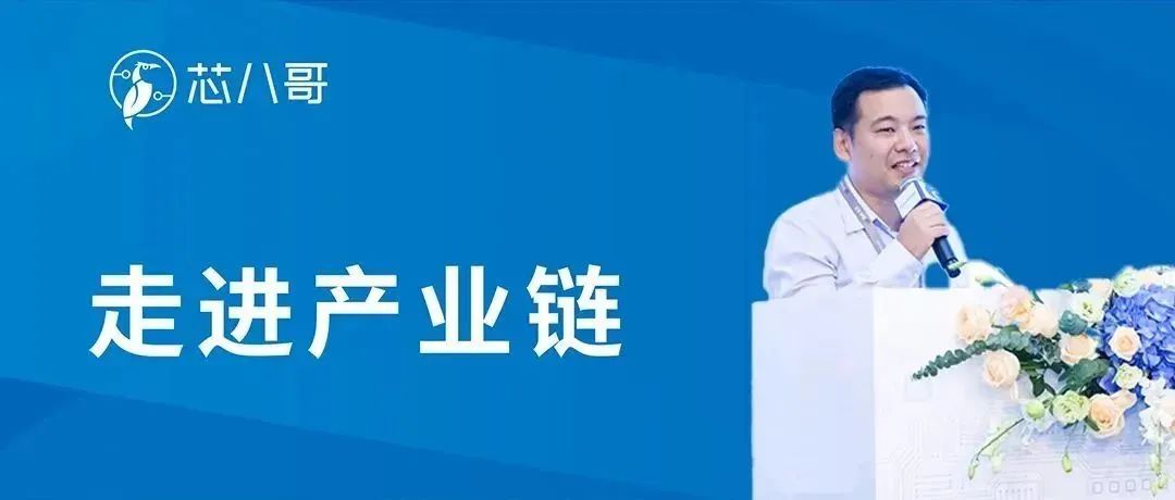 导入客户超150家！这类国产芯片可pintopin替换英飞凌-电子工程专辑