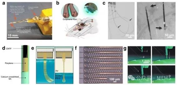 中科先见：柔性神经电极与神经刺激-电子工程专辑