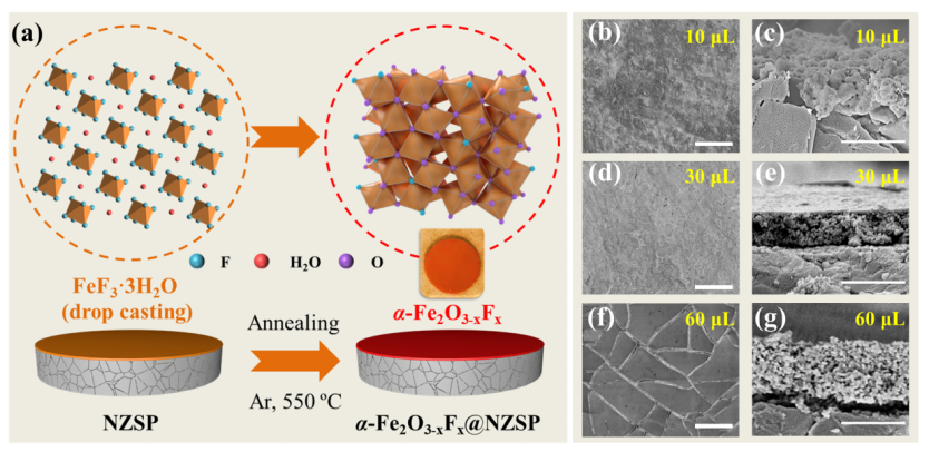 安徽大学：具有Fe价梯度的自氟化界面助力无枝晶固态钠金属电池-电子工程专辑