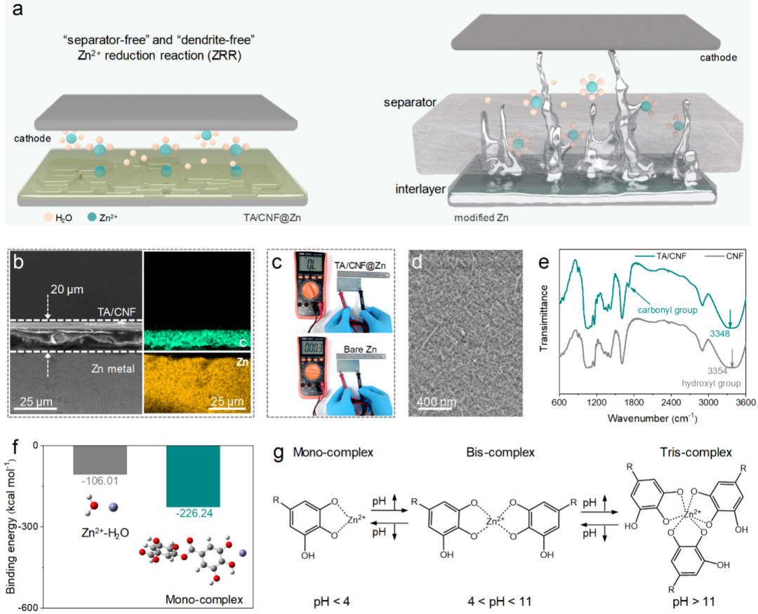 复旦晁栋梁/王永刚Angew:电池"无"隔膜？SEI新"膜"法!-电子工程专辑