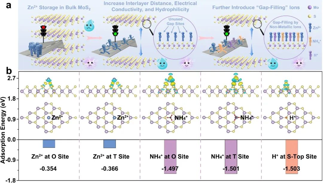 刘永畅/侯红帅教授Angew：揭示水系Zn-MoS2电池中多载流子“填隙”机制-电子工程专辑