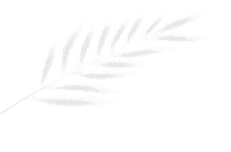 一读看懂QDPAK 封装的原理与应用-电子工程专辑