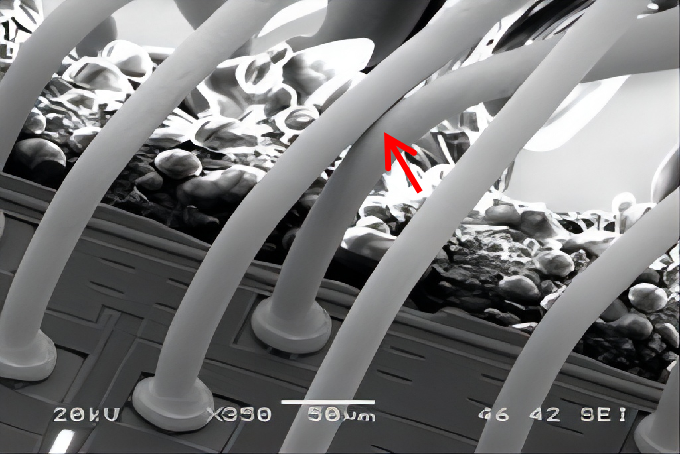 【半导光电】典型WireBond引线键合不良原因分析-电子工程专辑