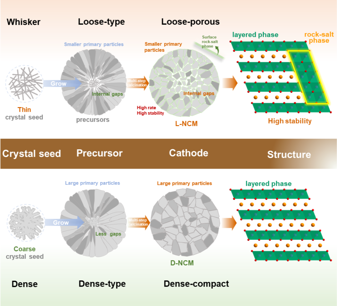 原位晶体结构生长与调控提升锂离子电池超高镍层状正极综合性能-电子工程专辑