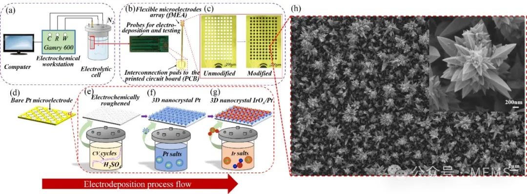 中科先见：柔性神经电极与神经刺激-电子工程专辑